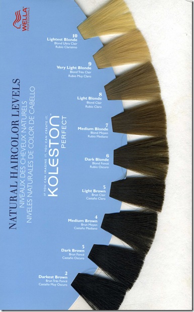 Become a Crib Colorist : Learn the Level System of Hair Color ...